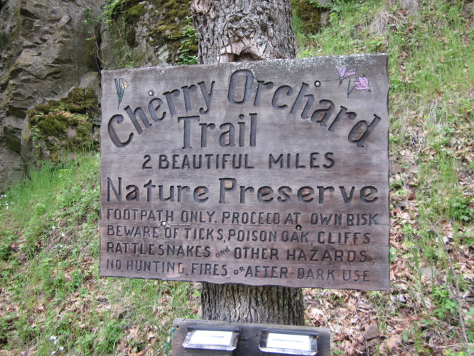 Lyle Cherry Orchard Hike | The daily life of Vanessa MacLellan